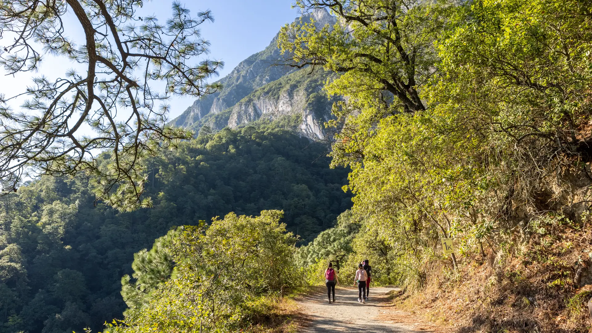 This is what you need to know about the reopening of Chipinque