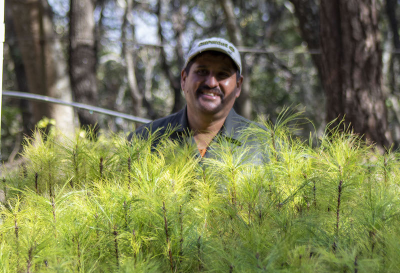 Parque Ecológico Chipinque - Semillas de esperanza